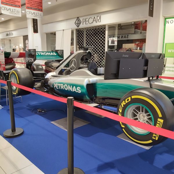 SIMULATEUR F1 SUR VERINS – Fun animations